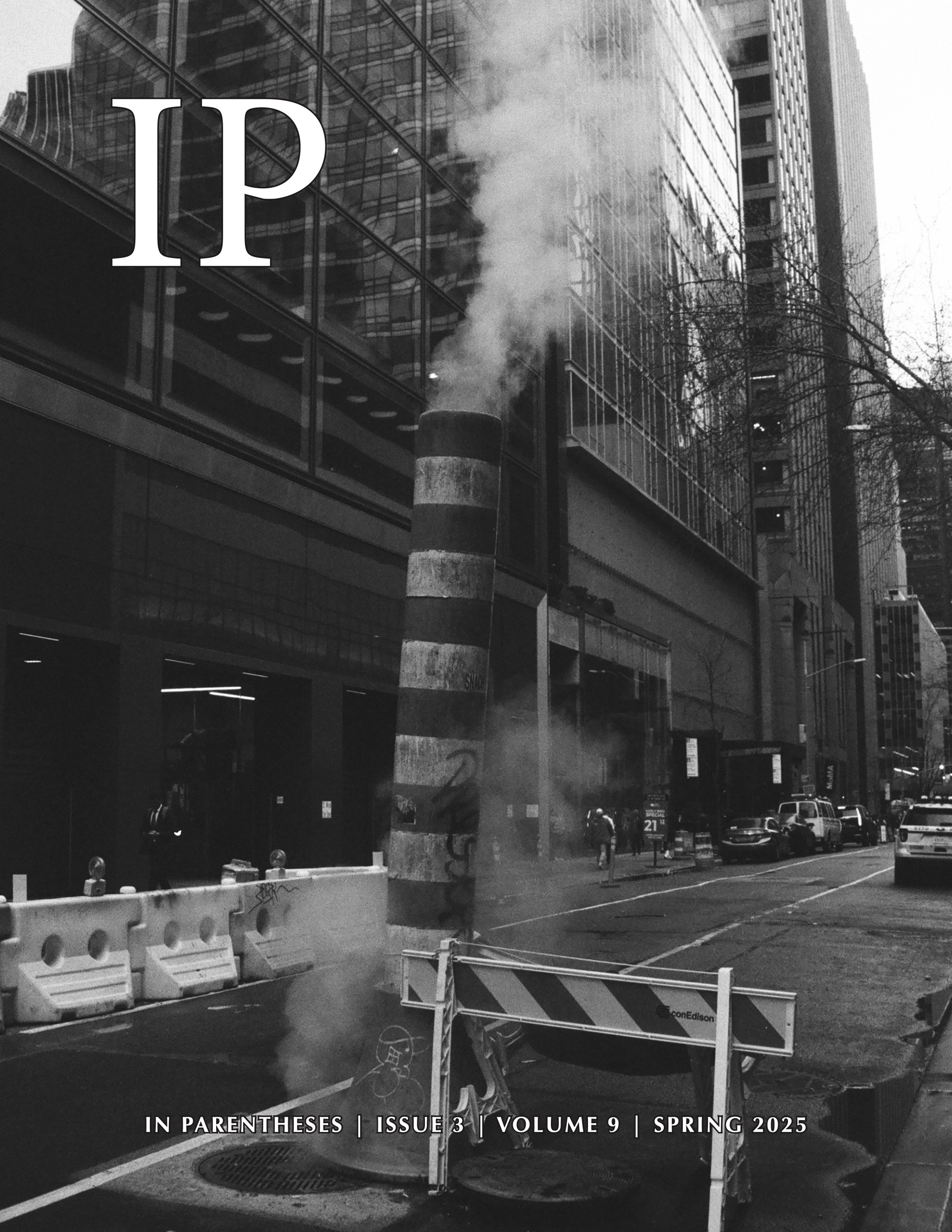 In Parentheses Literary Magazine (Spring 2025) Volume 9, Issue 3 ...